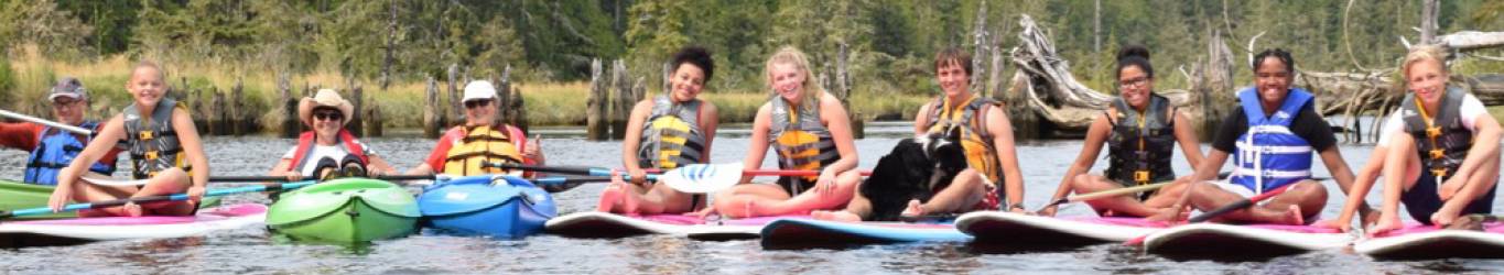 Have You Seen The Washington Coast's Ghost Forest? | Seabrook Vacation ...
